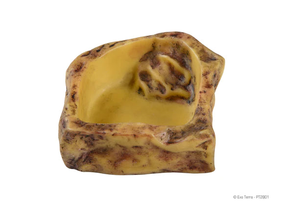 Bebedero Exo Terra Chico – ReptileInk
